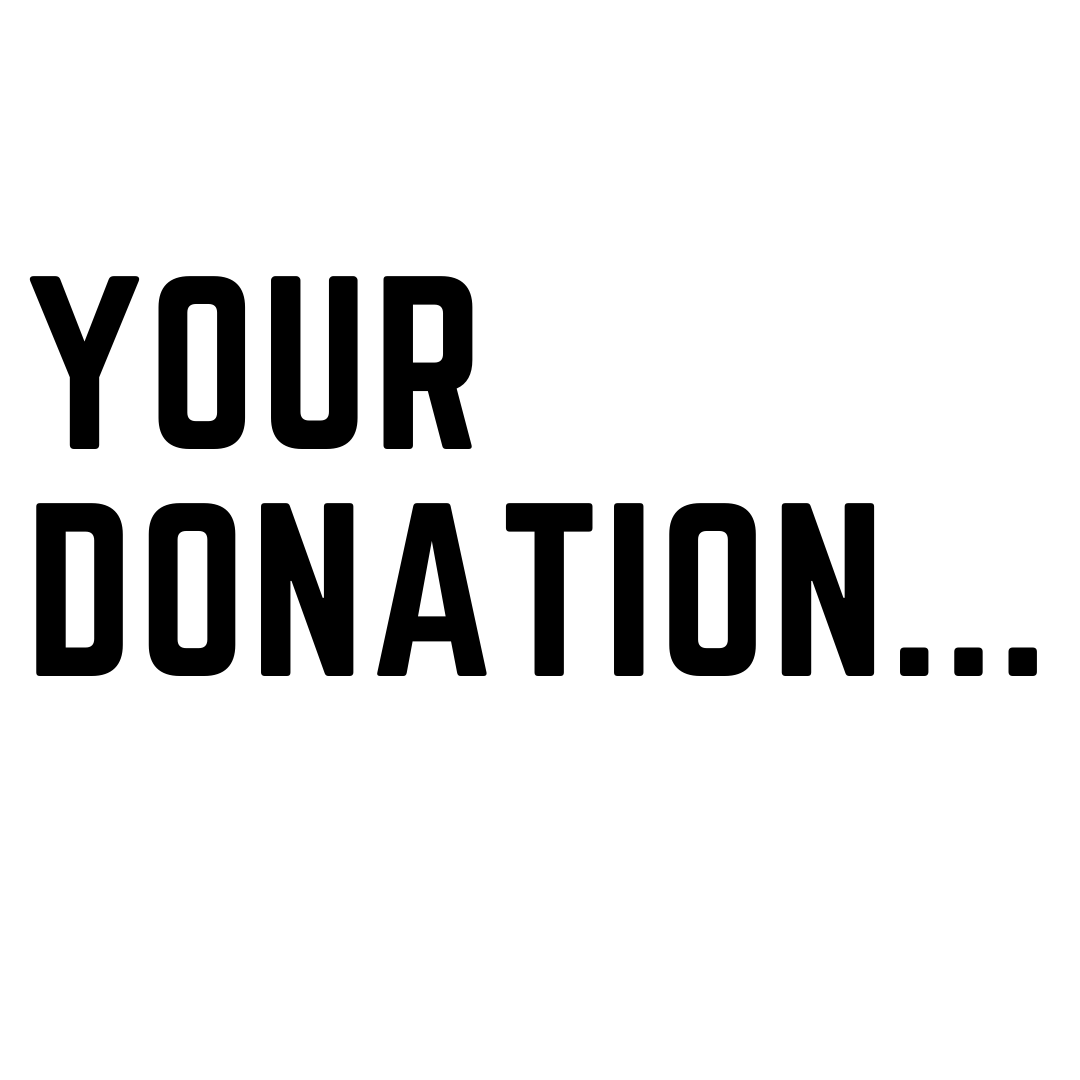 Annual Fund | The HAY Center